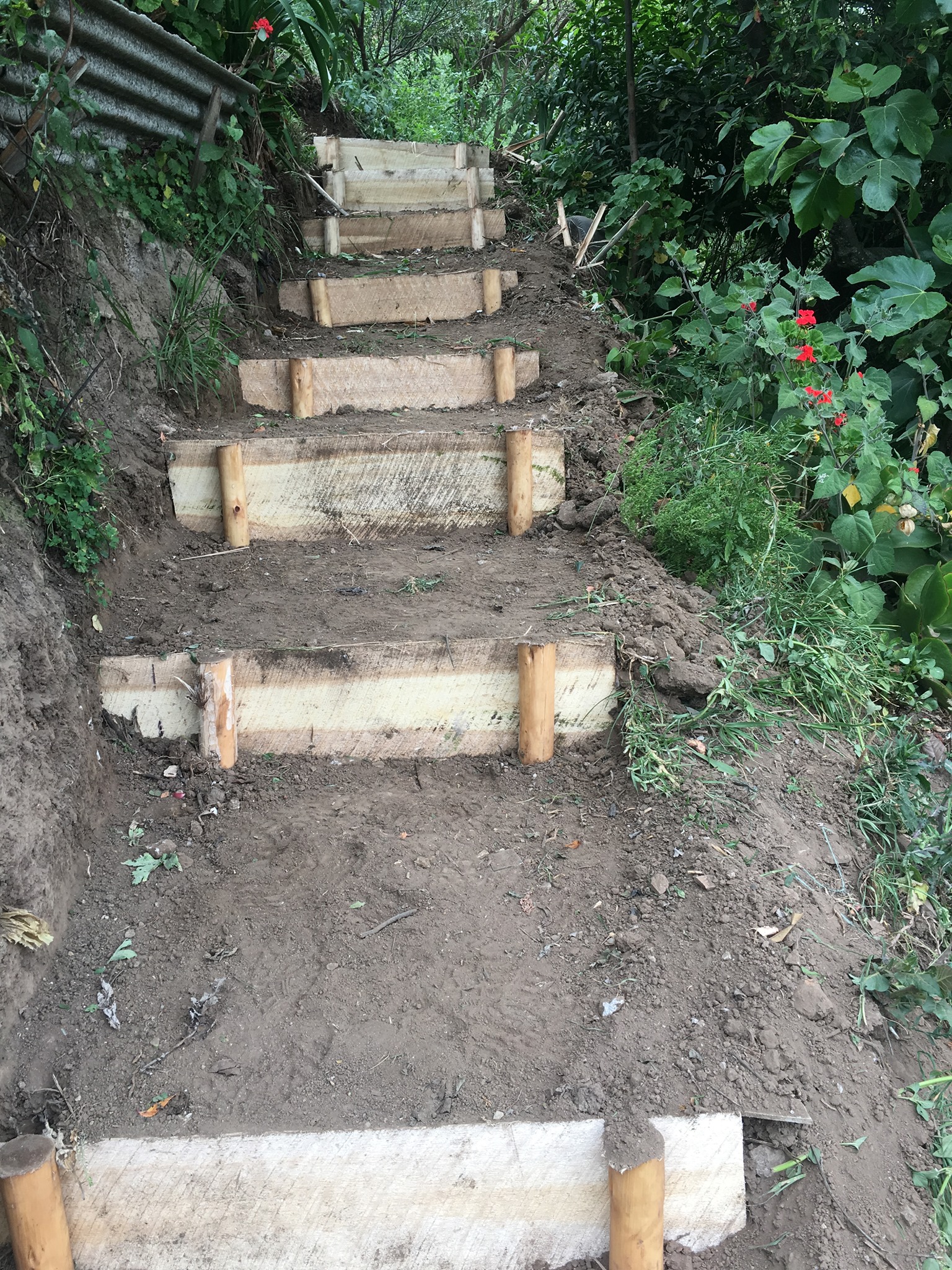 Proyecto Wayku: Senderos y escalinatas en buenas condiciones para ...