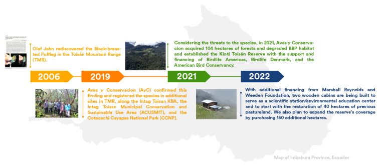 Kinti Toisán Reserve: a new site for the conservation of the Black ...