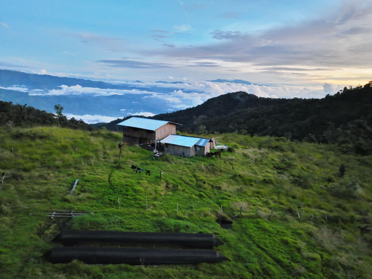 Reserva Kinti Toisán: Un Refugio para la Biodiversidad y la ...