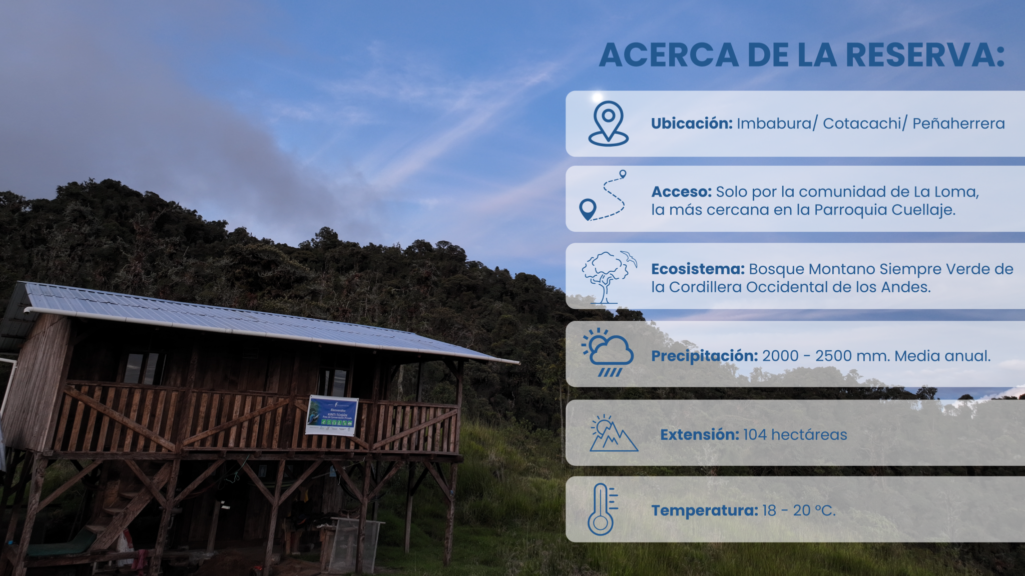 Reserva Kinti Toisán – Aves y Conservación